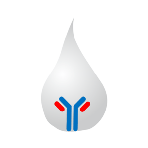 Total Cholesterol Assay Kit - Otto Scientific